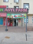 Vegetables and Fruits (No:9, Shymsıtı shaǵyn aýdany), manavlar  Çimkent'ten (Şımkent'ten)