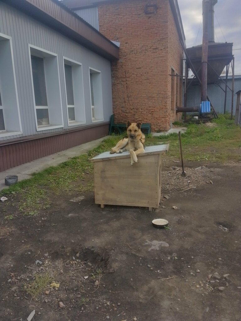 Metal konstrüksiyon firmaları MetaTsentr, Biysk, foto