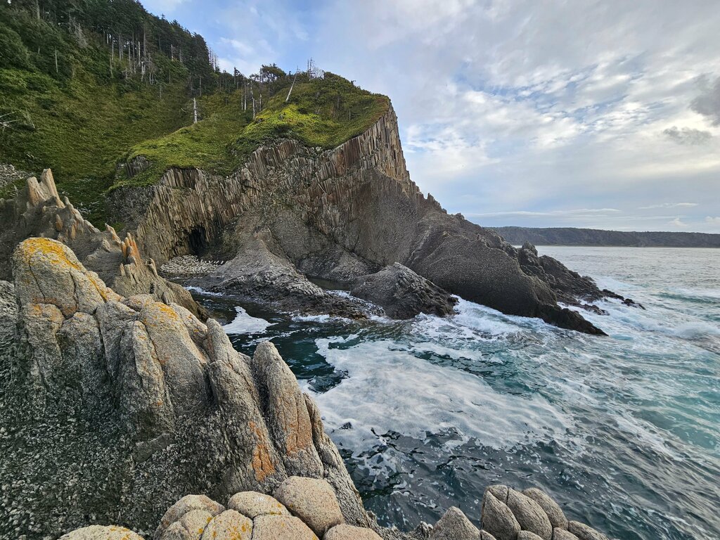 Parklar ve ormanlar Gosudarstvenny prirodny zapovednik Kurilsky, Sahalin Bölgesi, foto