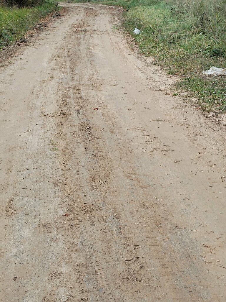 Tarım firmaları Kurino-Tarasenki Selkhozotdeleniye Vitebskaya Broylernaya Ptitsefabrika, Vitebskaya oblastı, foto