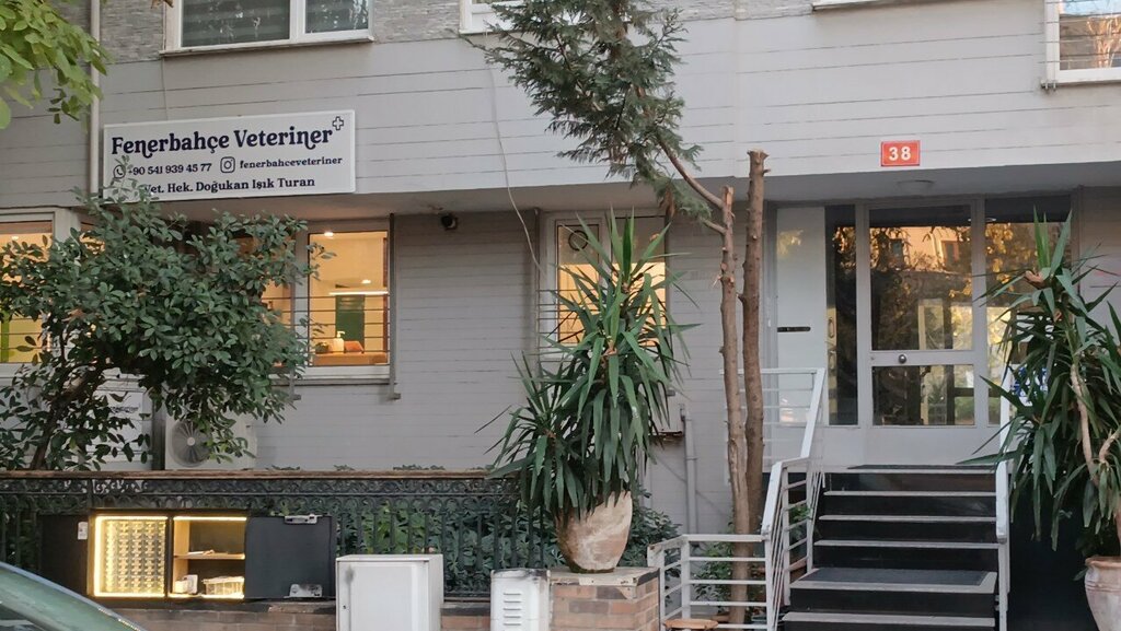 Veteriner klinikleri Fenerbahçe Veteriner Muayenehanesi, İstanbul, foto