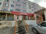 AnAr Baby (No:16, mikrorayon Akmeshit), özel ders hizmetleri  Kızılorda'dan