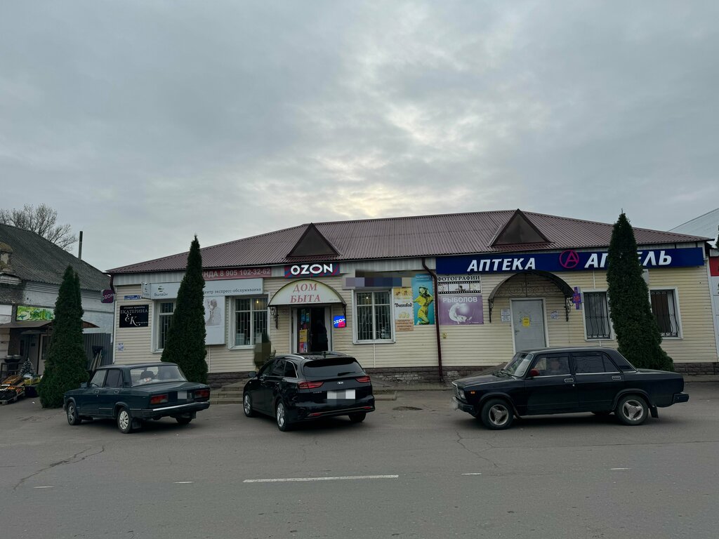 Teslimat noktası Ozon, Brianskaya oblastı, foto