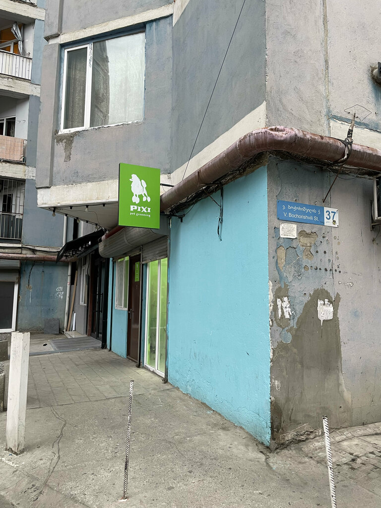 Evcil hayvan kuaförleri Pixi Pets Groomig Salon, Tiflis, foto