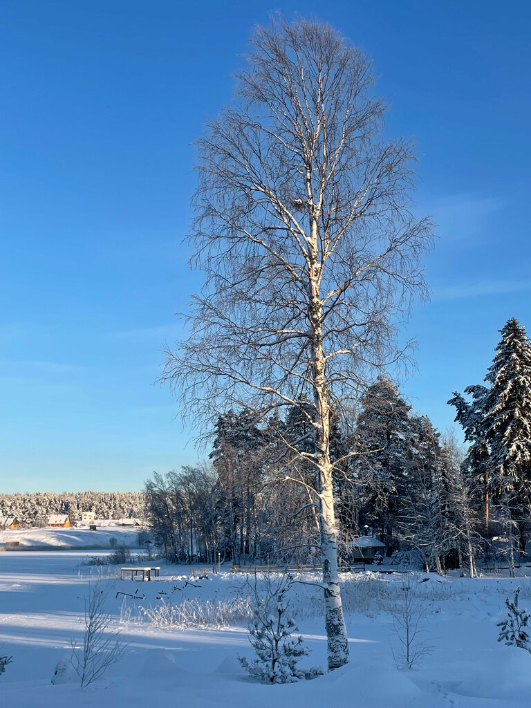 Tatil altyapısı Аппартаменты О'Берег, Karelya, foto