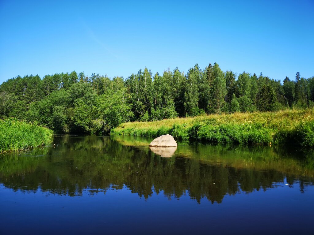 Doğa Ведун-камень, Saint‑Petersburg ve Leningradskaya oblastı, foto