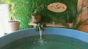 White Sea (Belomorskaya Street No:44), spa  Kandalaksha'dan