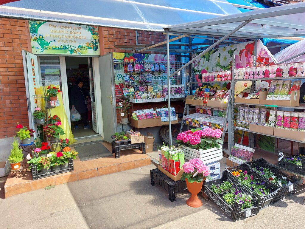 Bahçecilik mağazaları Dom Sad Ogorod, Mineralniye Vodi, foto