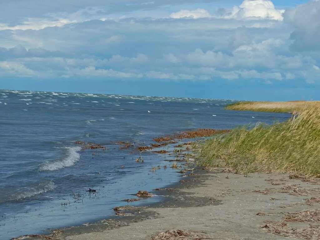 Doğa koruma alanı Ile-Balkhash State Natural Reserve, Almatı eyaleti, foto