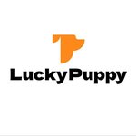 Lucky Puppy (Saint Petersburg, Ligovskiy Avenue, 271), pet salon  Saint‑Petersburg'dan