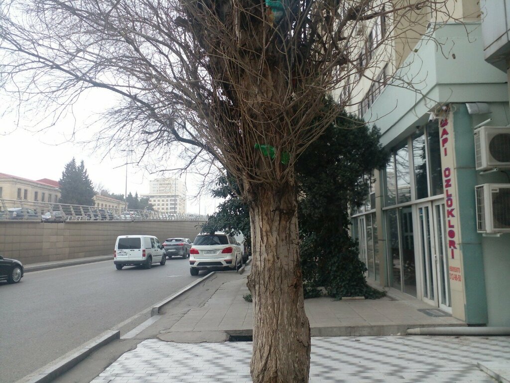 Kapılar Qapı Üzlükləri, Bakü, foto