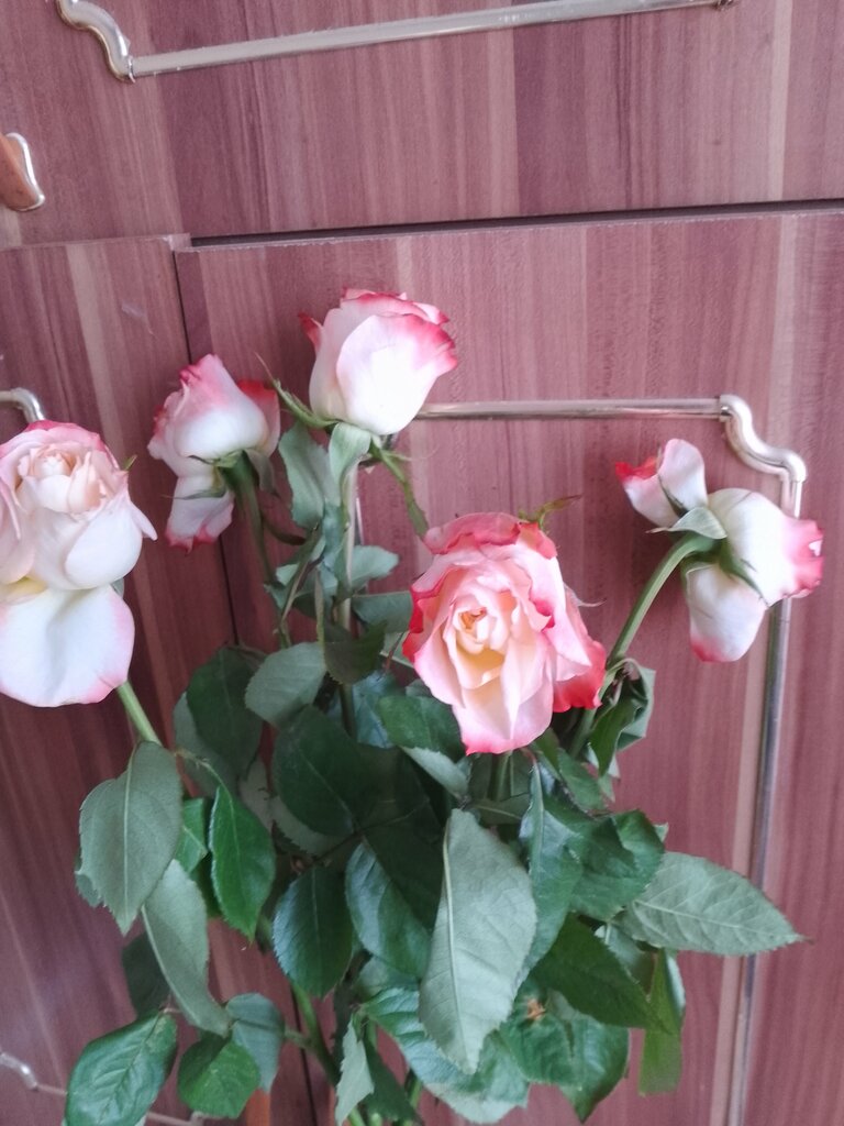 Çiçekçiler Букет, Belebey, foto