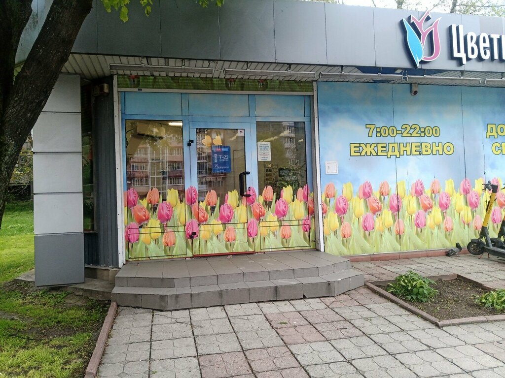 Çiçekçiler Cvety Gollandii, Kaliningrad, foto