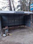 Военный санаторий Ельцовка (Заельцовский санаторий) (Novosibirsk, ulitsa Territoriya Sanatoriya SibVO Yeltsovka), toplu taşıma durağı  Novosibirsk'ten
