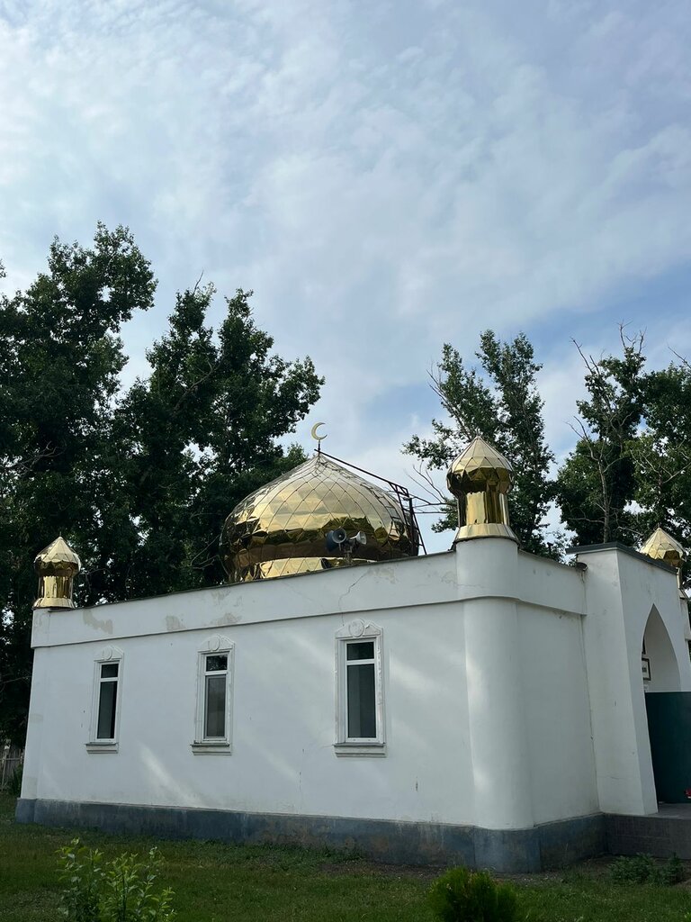Cami Mosque in Zhogargy Eginsu Village, Doğu Kazakistan eyaleti, foto