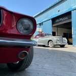 Exist (77, 102 Street, Industrial Area 17, Al Senaiyat, Sharjah), otomobil yedek parçaları