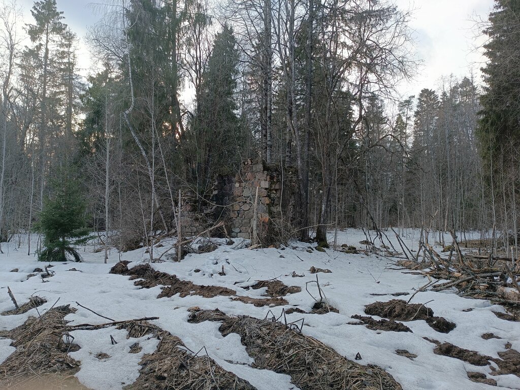 Turistik yerler Усадьба Ознаково, Saint‑Petersburg ve Leningradskaya oblastı, foto