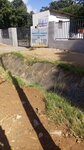 Zambia Institute Of Diplomacy And International Studies (Lusaka, Longacres), üniversiteler  Lusaka'dan