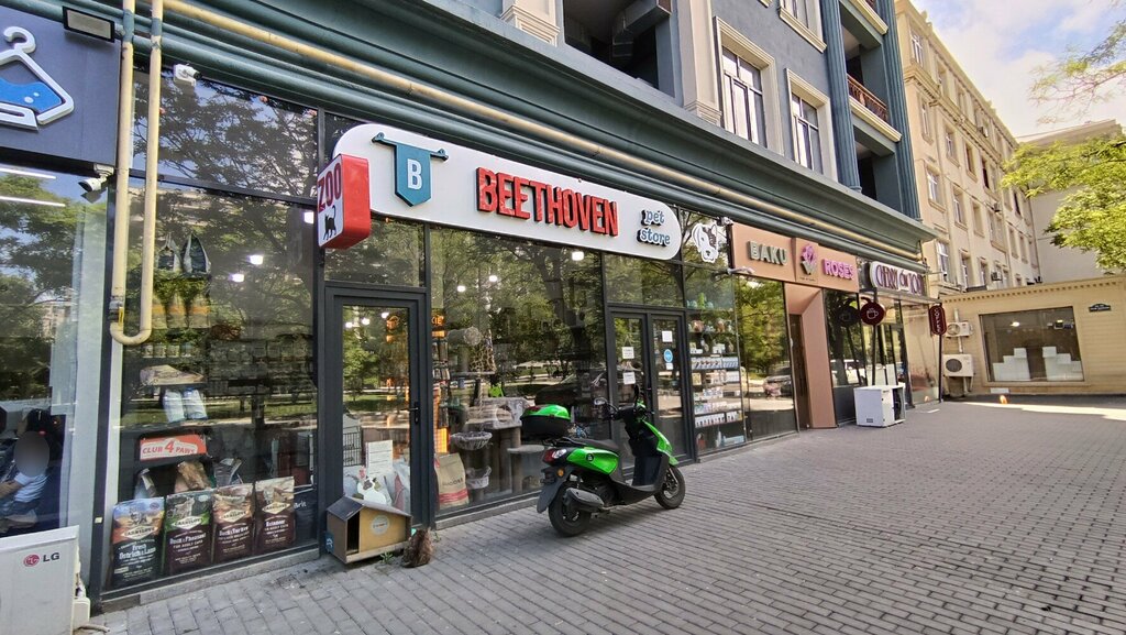 Petshop Beethoven, Bakü, foto