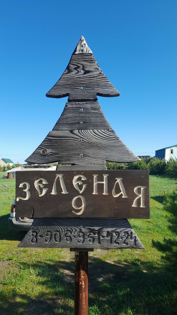 Tatil köyleri Сосны, Altayski krayı, foto