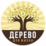 Drevo (Tazi Gizzata Street No:1В), kereste üretim ve satış şirketleri  Kazan'dan