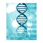 Peptides (Aurora Street No:148), besin takviyesi, aktariye  Samara'dan