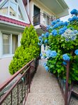 Gostevoy dom Uyutny (Vesennyaya ulitsa No:18, Village of Loo), otel  Soçi'den