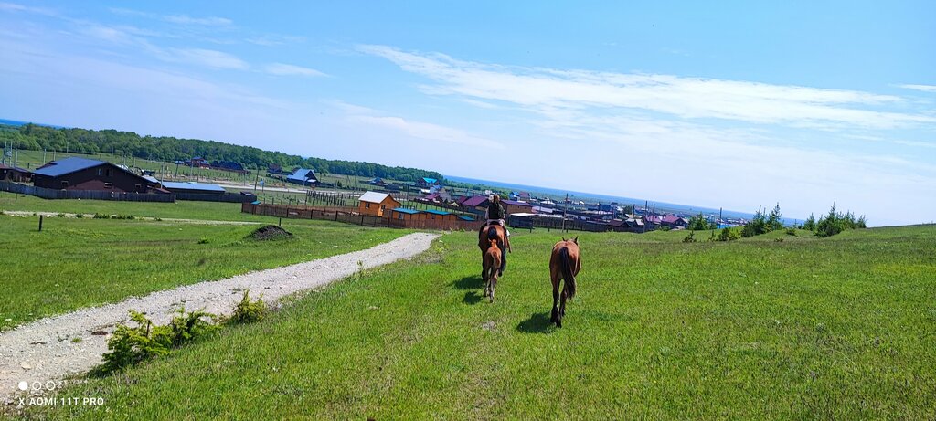 Resort oteller, tesisler Визитный экологический центр Нерпенок, İrkutskaya oblastı, foto