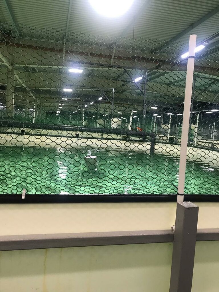 Balık çiftçiliği ve toptancıları Инарктика северо-запад, Kalujskaya oblastı, foto