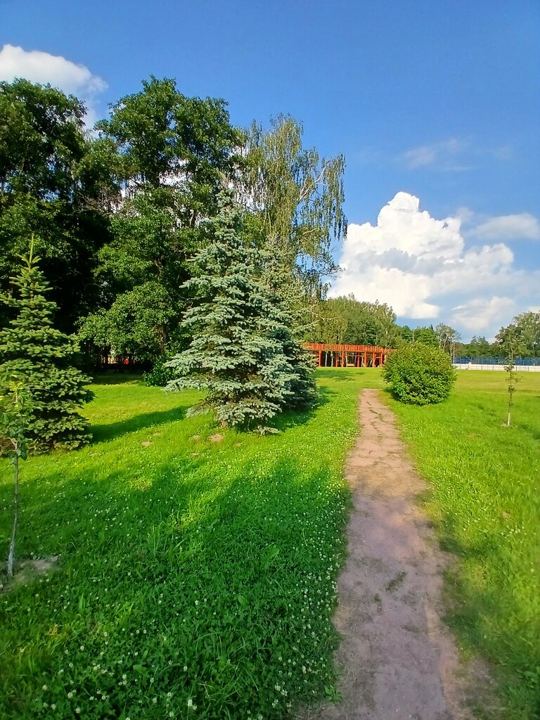 Kültür ve eğlence parkları Яблоневый сад, Yegoryevsk, foto