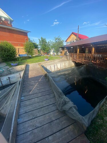 Kafe Trout Farming 777, Permski krayı, foto