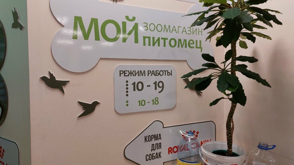 Petshop Мой питомец, Severodvinsk, foto