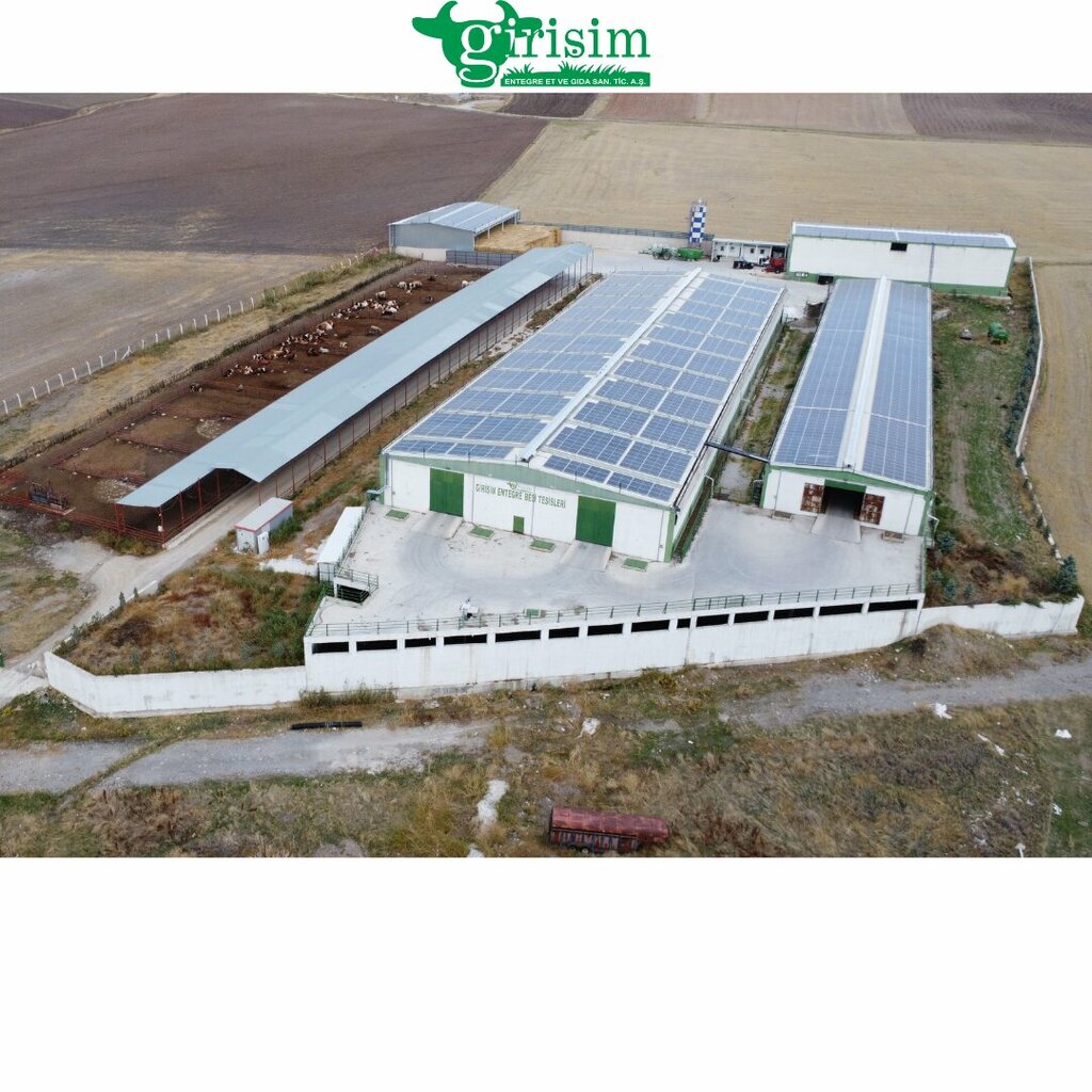 Gıda üreticileri Girişim Entegre Et ve Gıda Sanayi, Ankara, foto