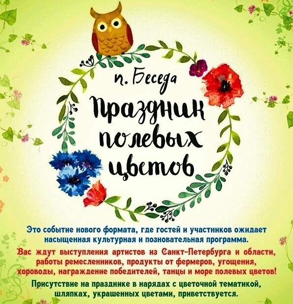 Tatil altyapısı Праздник Полевых Цветов в Беседе, Saint‑Petersburg ve Leningradskaya oblastı, foto