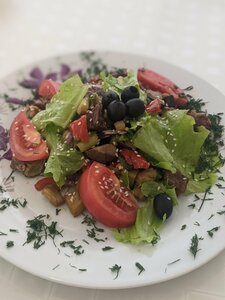 Haris (Orenburg Region, Matveyevskiy rayon, R-239, 476-y kilometr), kafe  Orenburgskaya oblastından