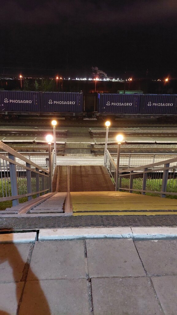 Tren garları Railway station, Vologodskaya oblastı, foto