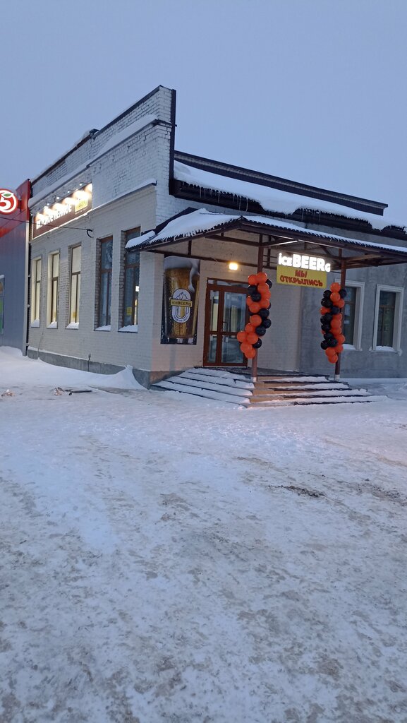 Bira dükkanı IceBEERg, Donskoy, foto