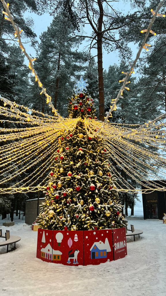 Yönetim ofisi Администрация лесопарка, Moskova ve Moskovskaya oblastı, foto