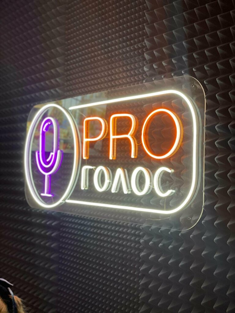 Müzik okulları ve konservatuarlar Vocal School Pro-voice, Belgorod, foto