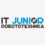 IT junior (Diagnostic Street No:7), kurs  Orenburg'dan