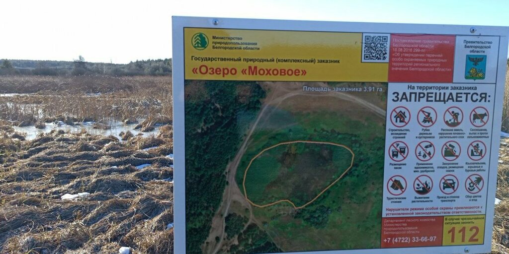 Orman урочище Моховое, Belgorodskaya oblastı, foto