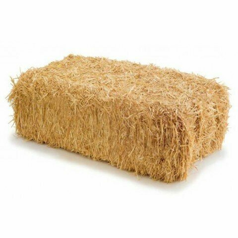 Manavlar ECO-Ferma24, Moskova, foto