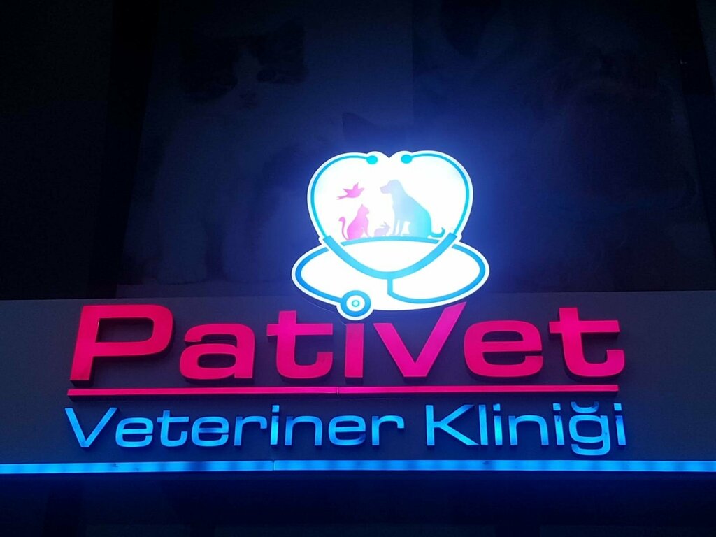 Veteriner klinikleri Pativet Veteriner Kliniği, Gebze, foto