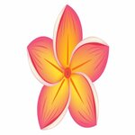 Цветы круглосуточно (Киевская улица No:4Г), çiçekçiler  Yalta'dan