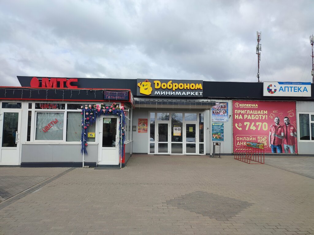 Çiçekçiler Цветы от Максима, Fanipol, foto
