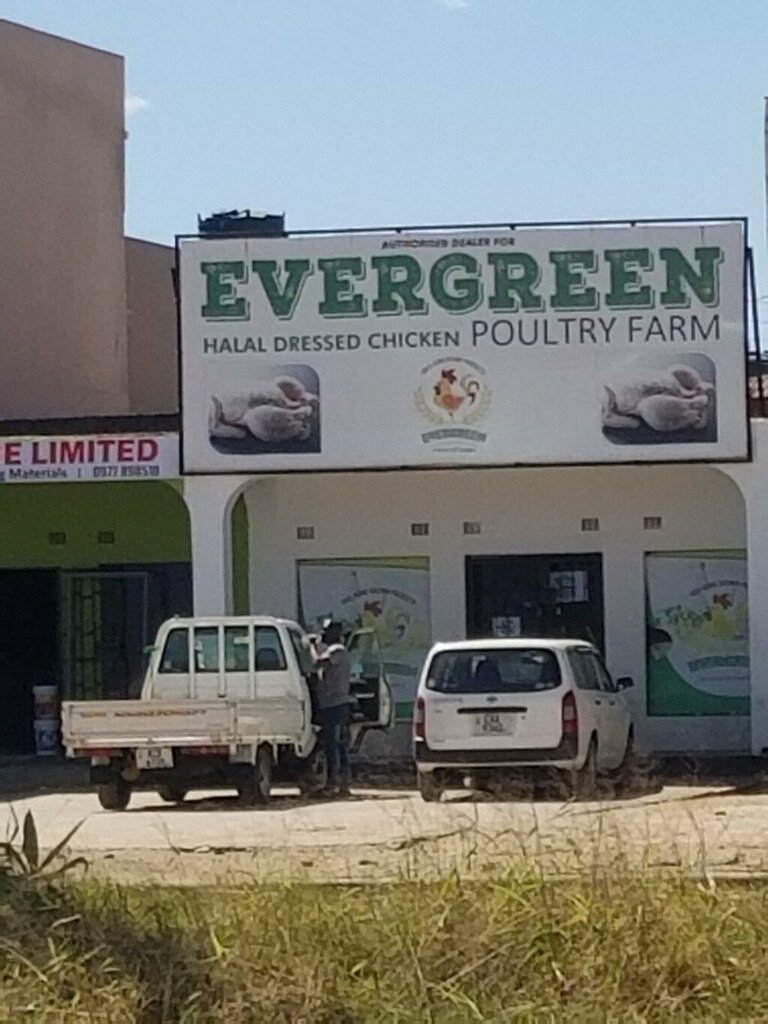 Elektrik ve elektrikli ürün mağazası Electrical and Hardware, Lusaka, foto