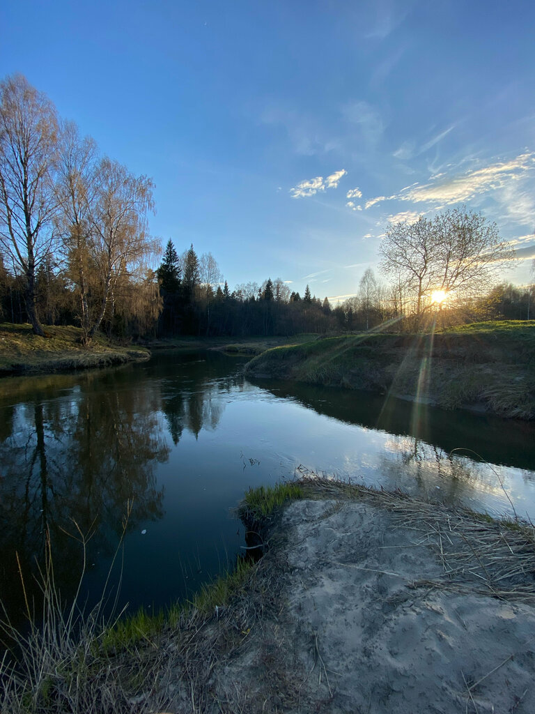 Piknik alanı Place for picnic, Vladimirskaya oblastı, foto