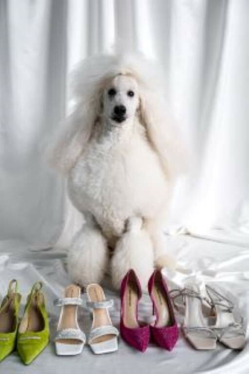 Ayakkabı mağazaları Matteo Malichelli, Taganrog, foto