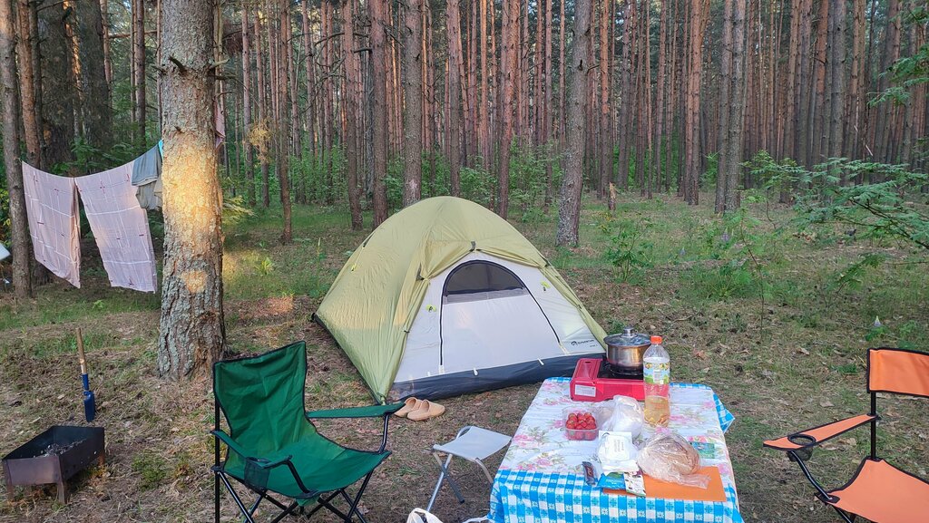 Piknik alanı Место для пикника, Vladimirskaya oblastı, foto