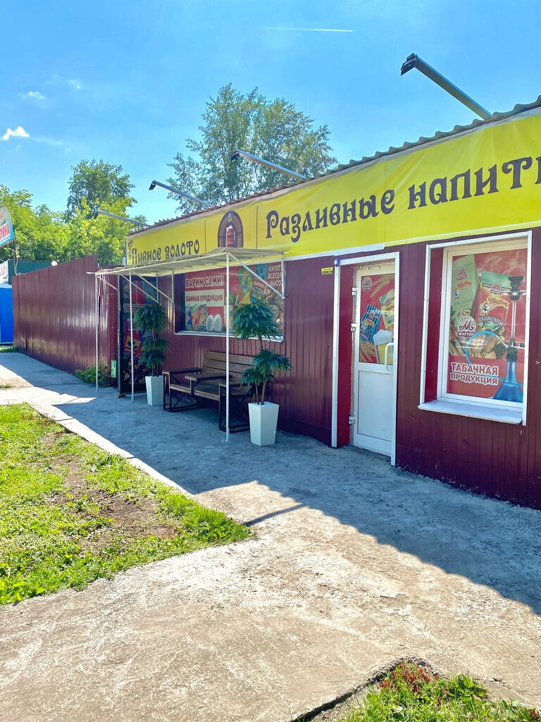 Bira dükkanı Zolot House, Krasnoyarsk, foto